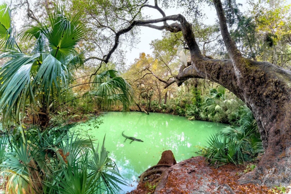 🌿 Why Visit Green Springs Park? - Must-visit.net